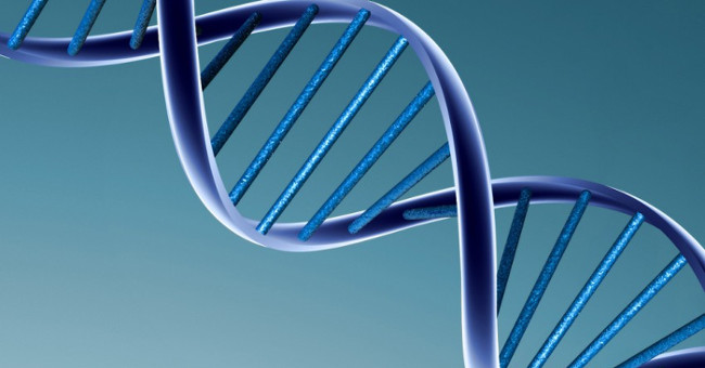 Phát hiện con lưỡng tính nhờ xét nghiệm ADN kiểm tra huyết thống ...