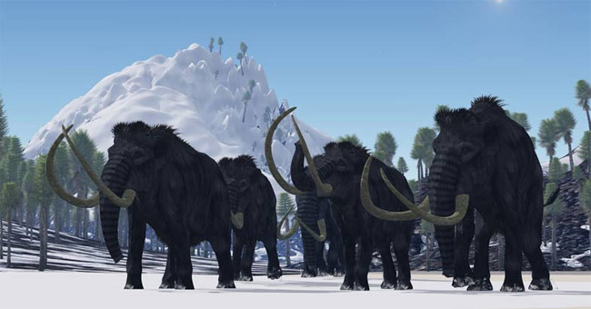 Những sự biến mất kỳ lạ nhất trong lịch sử - KhoaHoc.tv