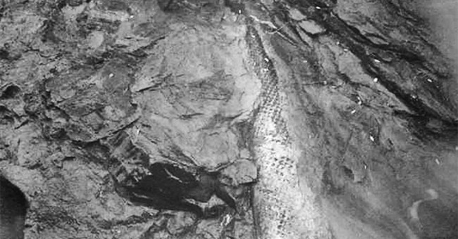 Nông dân Trung Quốc phát hiện dấu vết giống rồng đen trên đá - KhoaHoc.tv