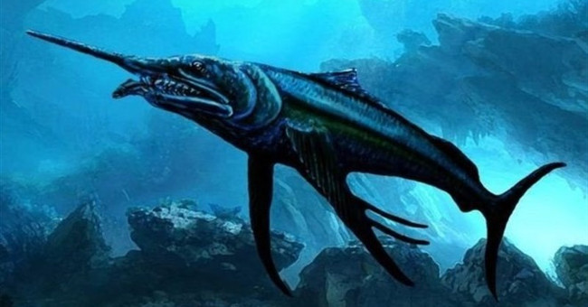 Bộ xương cá kiếm 100 triệu tuổi có hàm răng ngoại cỡ - KhoaHoc.tv