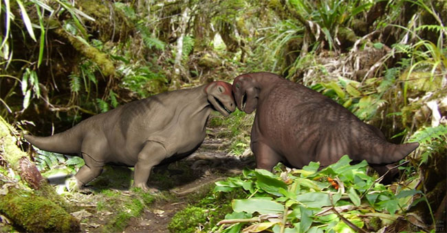 Loài khủng long có xương sọ dày như giáp tăng - KhoaHoc.tv