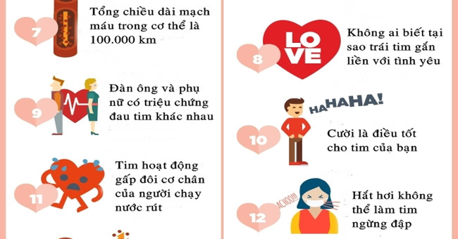 Những điều ít biết về tim người - KhoaHoc.tv
