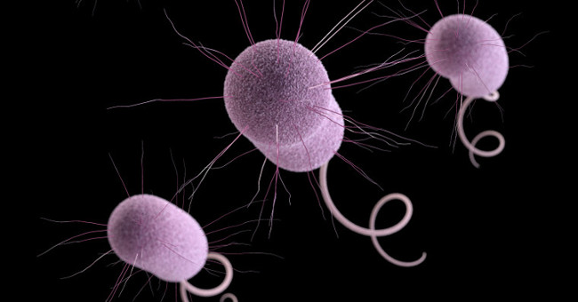 CDC Hoa Kỳ cảnh báo: Vi khuẩn "ác mộng" đang lan ra trên toàn nước Mỹ ...