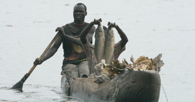 Những sự thực khủng khiếp về cuộc sống trong đầm lầy - KhoaHoc.tv