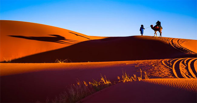 Những sự thật ít người biết về sa mạc Sahara - KhoaHoc.tv