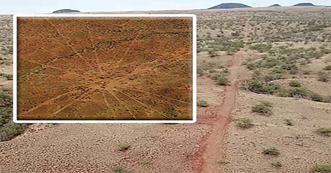 Phát lộ “bản đồ hình sao” bí ẩn dài gần 5km ở Hawaii - KhoaHoc.tv