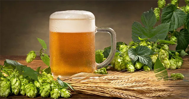 Phát hiện "thần dược" đẩy lùi cao huyết áp, tiểu đường trong... bia ...