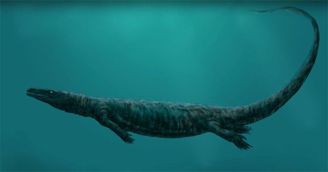 Pannoniasaurus: Quái vật dài 6 mét ở vùng nước ngọt của Hungary ...