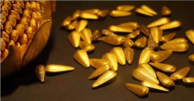 "Kim qua tử" là bảo bối gì mà khiến phi tần Trung Hoa phấn khích khi ...