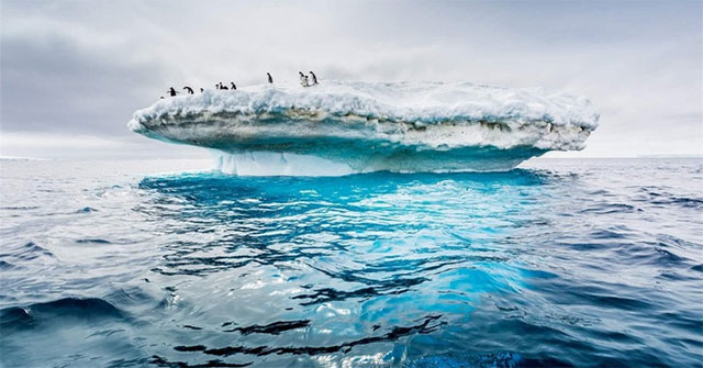 Top 10 sự thật thú vị về Nam Đại Dương - Đại dương thứ 5 của thế giới ...