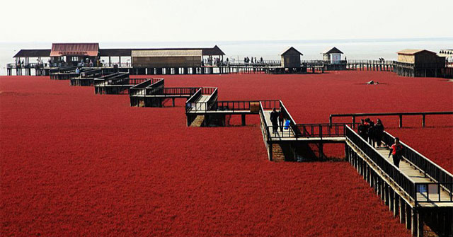 Tại sao gọi là biển Đỏ mà không phải là tên khác? - KhoaHoc.tv