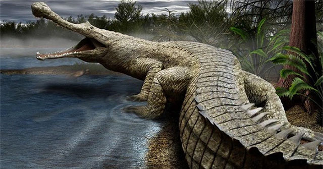 Sinh vật giống cá sấu dài gần 6 mét từng bị chặt đầu dã man đến tuyệt ...