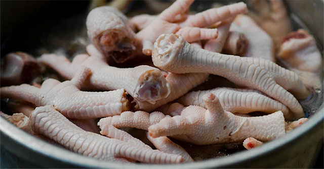 Những lầm tưởng về chân gà mà nhiều người mắc phải - KhoaHoc.tv