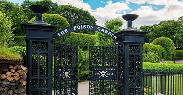 Poison Garden - Khu vườn chết chóc nhất thế giới - KhoaHoc.tv