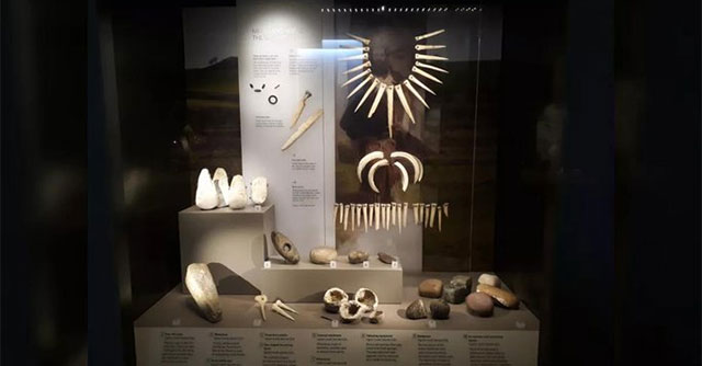 Kiểm tra kho báu pháp sư ở bảo tàng, phát hiện bí mật vàng ròng ...