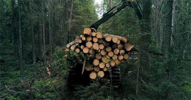 Công nghệ mới giúp nuôi trồng tế bào thực vật để in 3D các loại gỗ ...