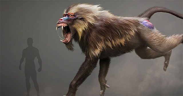 Phát hiện loài "vượn khủng bố" - một trong những loài vượn lớn nhất ...