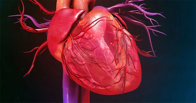 Tái tạo thành công tim người bằng công nghệ in 3D - KhoaHoc.tv