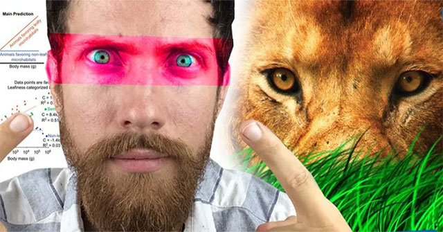 Vì sao con người lại sở hữu đôi mắt của những kẻ săn mồi hàng đầu ...