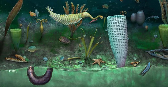 "Mắc kẹt" vì Covid-19, đào bới gần nhà và phát hiện kho báu quái vật ...