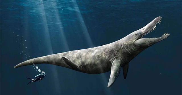 Mất tích 152 triệu năm, "T-rex đại dương" hiện ra bất ngờ giữa bảo tàng ...