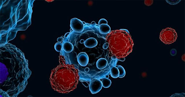 Hệ miễn dịch đang chống lại các bệnh tật mới như nào? - KhoaHoc.tv