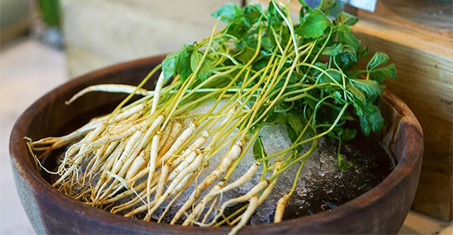 Chuyên gia nói gì về trào lưu ăn nhân sâm mầm thay rau để cải thiện sức ...