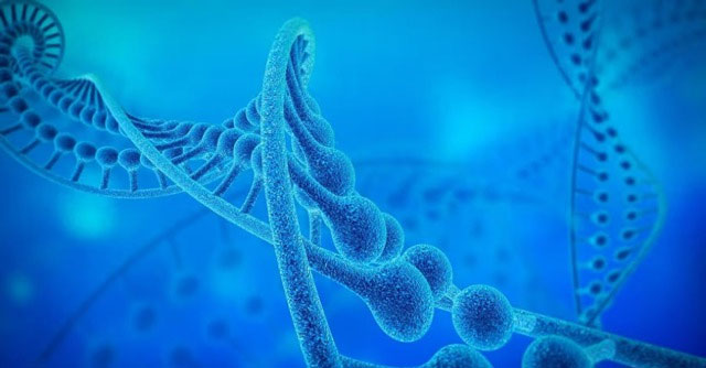 Bí ẩn về prion ẩn trên nhiễm sắc thể thứ 20 của con người - KhoaHoc.tv