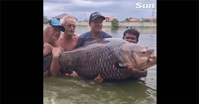 Người đàn ông câu được cá chép khổng lồ nặng hơn 114kg - KhoaHoc.tv