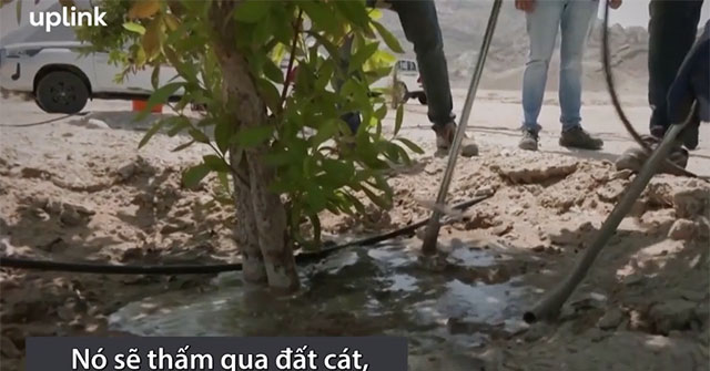 Video: Giới thiệu loại đất sét lỏng giúp biến sa mạc thành đất trồng ...