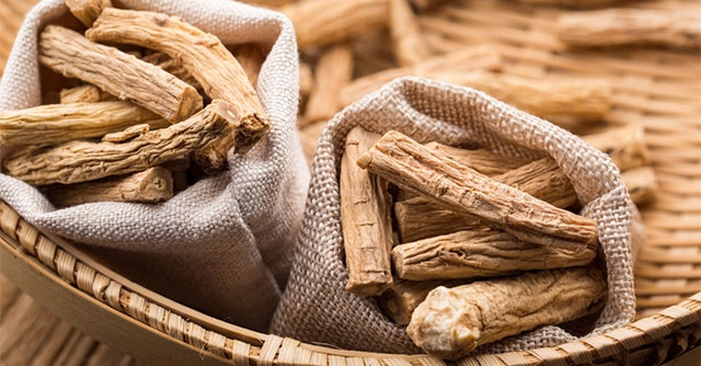 Tác dụng của đảng sâm, loại thảo dược được ví như "nhân sâm của người ...