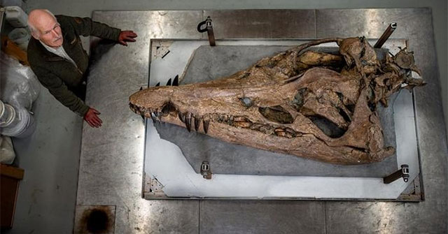 Phát hiện hóa thạch hộp sọ khổng lồ của loài quái vật biển hung dữ nhất ...