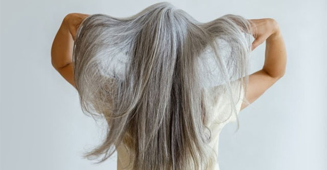 Top 4 vị trí thường có tóc bạc và nguyên nhân - KhoaHoc.tv