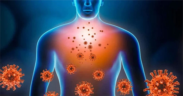 Tìm ra nguyên nhân suy giảm chức năng hệ miễn dịch - KhoaHoc.tv