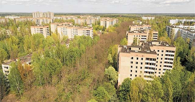 Chernobyl hiện ra sao sau khi con người rời bỏ do thảm họa hạt nhân ...